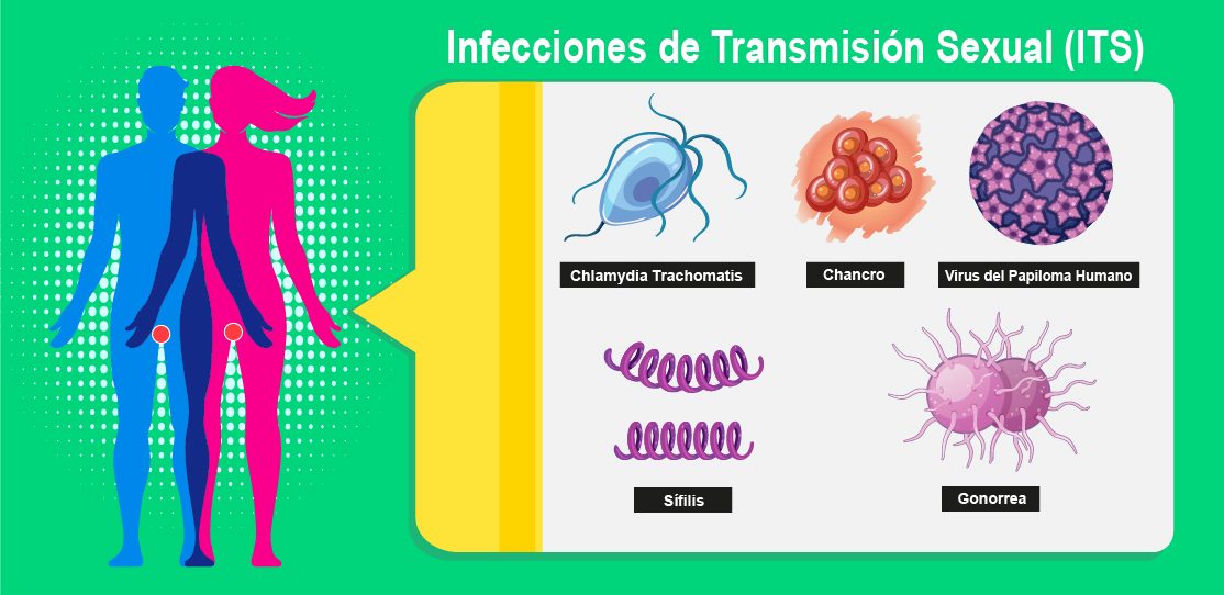 Protege tu Salud: Todo lo que Necesitas Saber sobre las Infecciones de ...